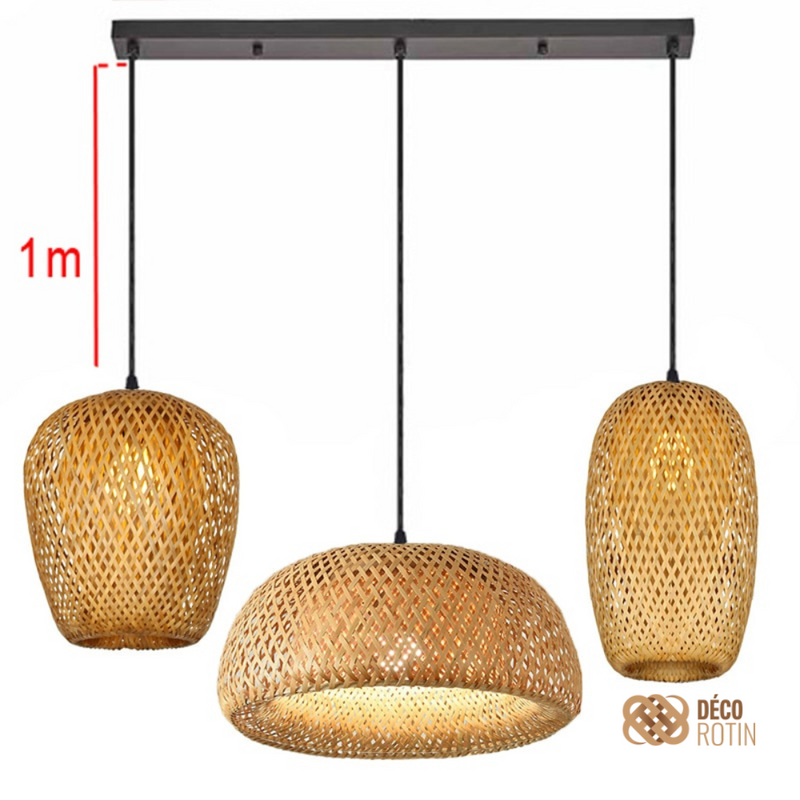 Suspension Multiple Rotin